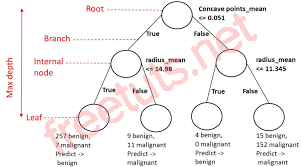 Triển khai Decision Tree bằng Python - Freetuts